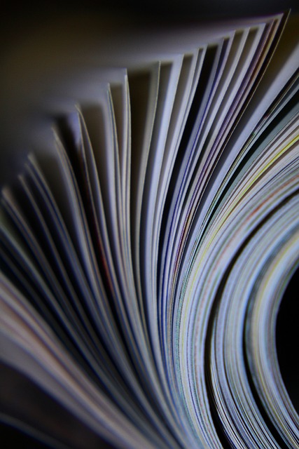 Publications · J. Fontchastagner